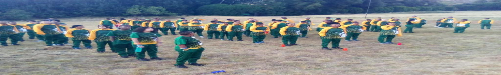 Alexander Sinton High School | Secondary School